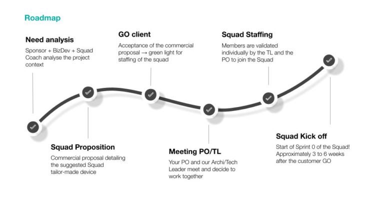 All You Need to Know about the Agile Squad, the Special Ops Team for ...
